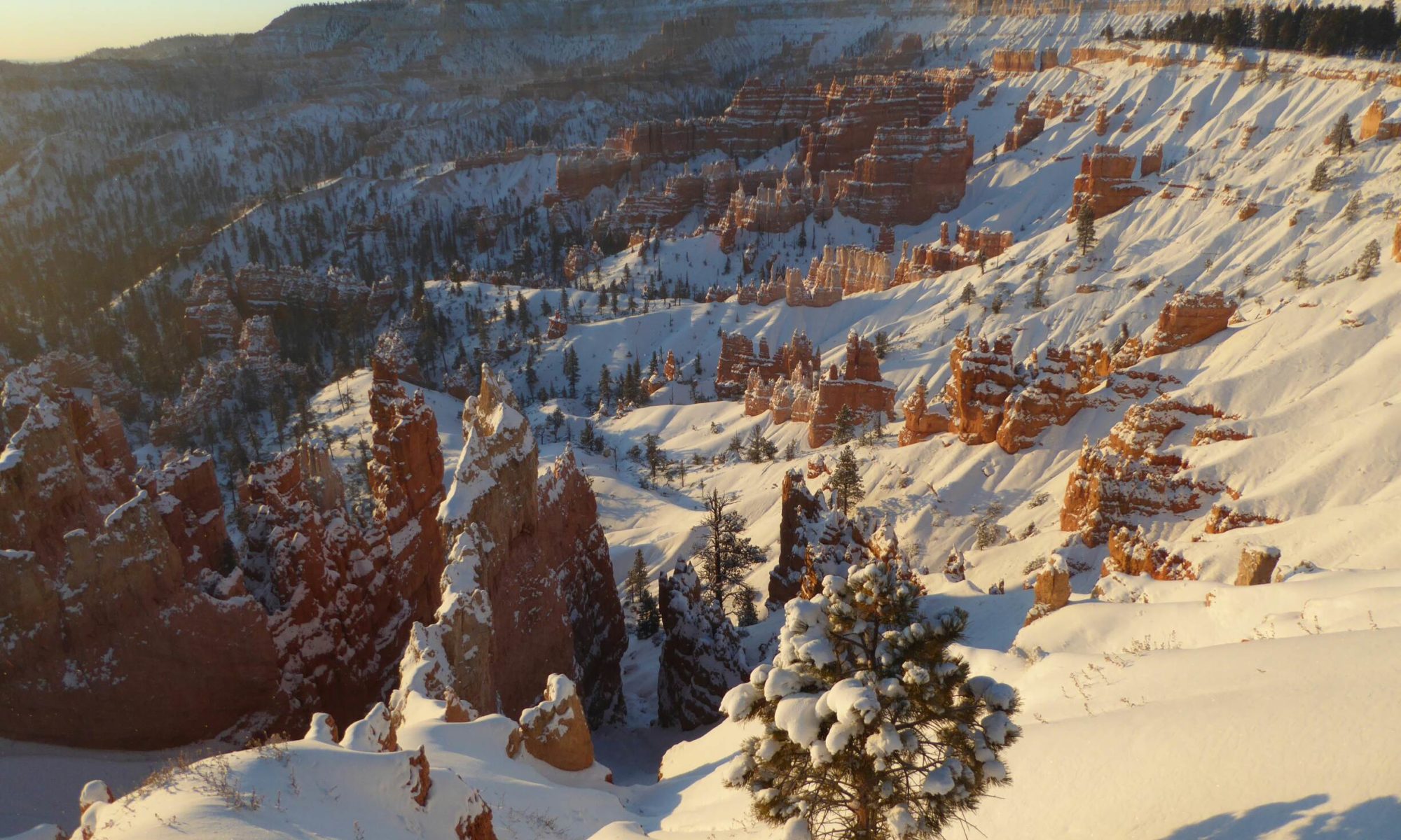 Explore Utah – Pacific Southwest